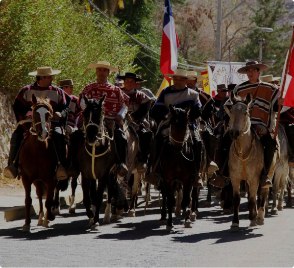 Caballo y Rodeo, Portal del Caballo y Rodeo Chileno, Federacion del ...