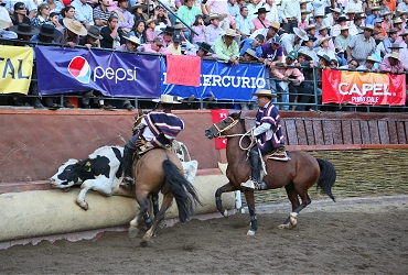 Programa Oficial del 64° Campeonato Nacional de Rodeo - CaballoyRodeo.cl