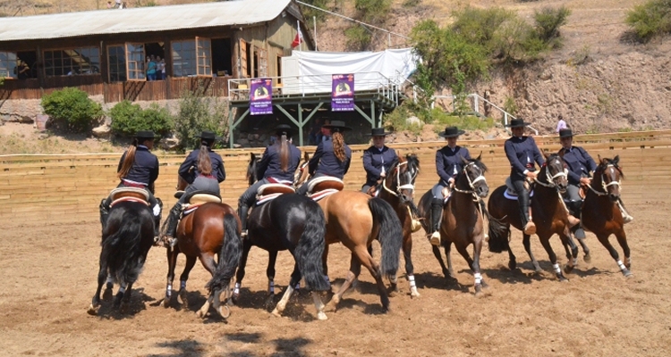 La Reposada tiene nutrida agenda de presentaciones para Fiestas Patrias ...
