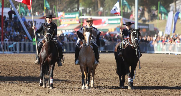 Caballo y Rodeo, Portal del Caballo y Rodeo Chileno, Federacion del ...