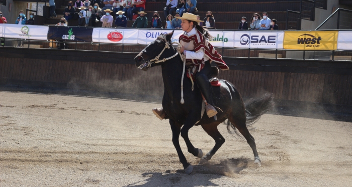 Caballo y Rodeo, Portal del Caballo y Rodeo Chileno, Federacion del ...