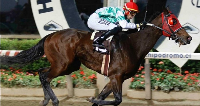 [Fotos] El clásico Federación del Rodeo Chileno acaparó miradas en el ...