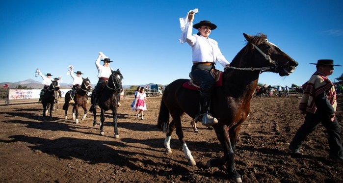 Caballo y Rodeo, Portal del Caballo y Rodeo Chileno, Federacion del ...