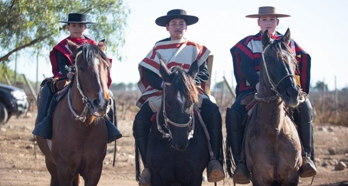 Caballo y Rodeo, Portal del Caballo y Rodeo Chileno, Federacion del ...