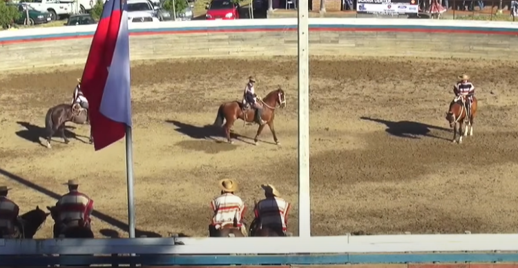 [Video] El triunfo de los Soto en Provincial de Rinconada de Retiro - CaballoyRodeo.cl