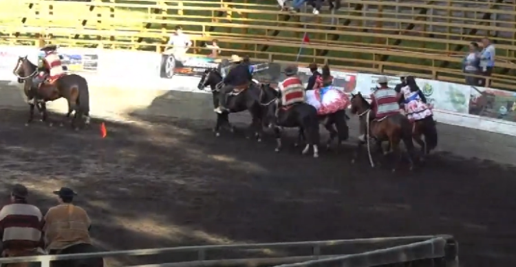 [Video] Javier y Sergio Guzmán fueron los mejores del rodeo de Pucón ...