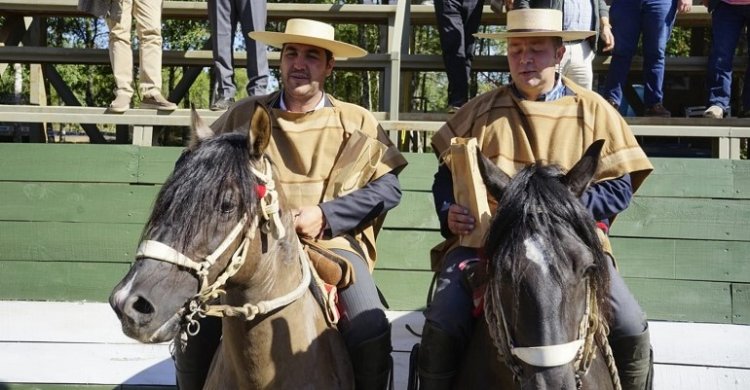 [Fotos] Las colleras premiadas en el Clasificatorio Zona Sur de ...