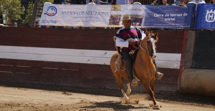 [Fotos] Las mejores imágenes del Movimiento a la Rienda del ...