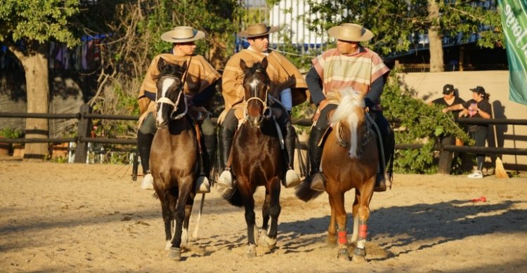 [Fotos] La Monumental vive las horas previas al 76° Campeonato Nacional ...