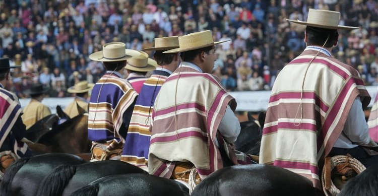 [Video] Estos fueron los premiados a la Final del Champion de Chile ...